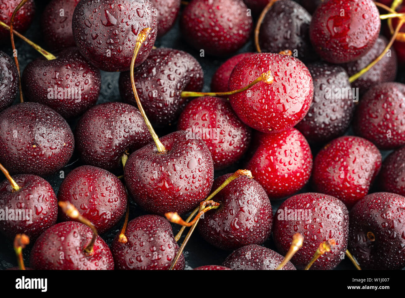 Close up of pile of ripe cherries with stalks. Large collection of ...