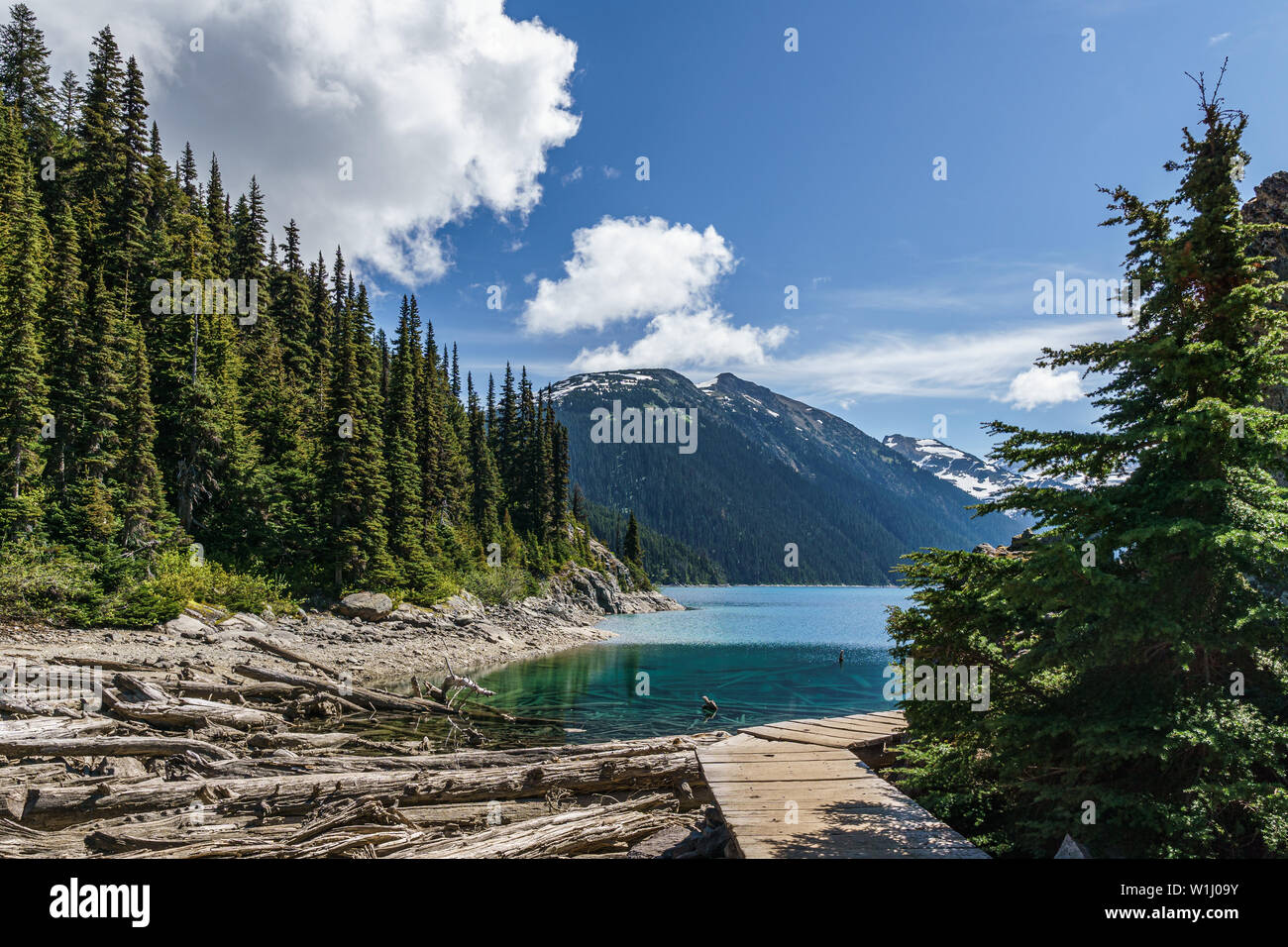 Garibaldi trail hi-res stock photography and images - Alamy