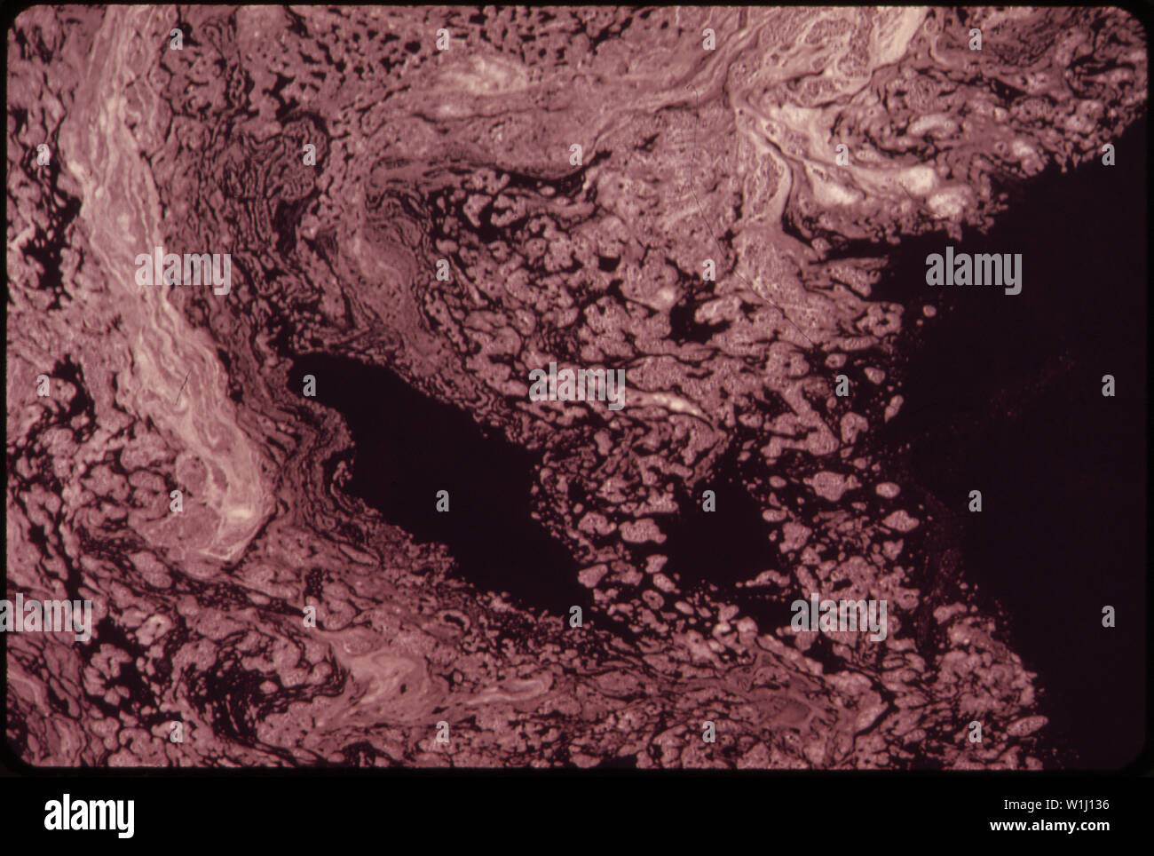 SCUM FORMS ON THE WISCONSIN RIVER NEAR THE MOSINEE PAPER COMPANY Stock ...