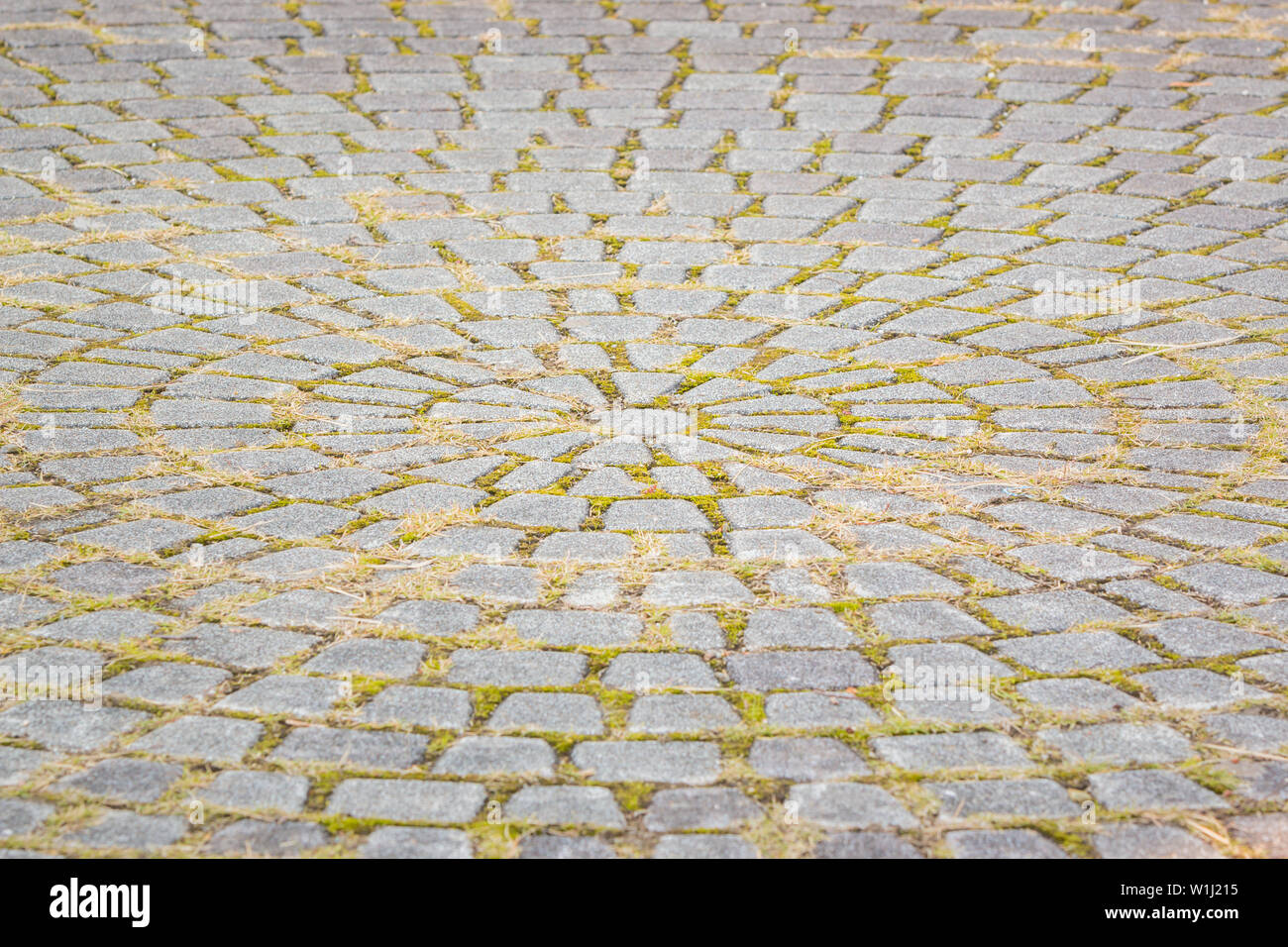 The fragment of a pavement in the form of a circle Stock Photo - Alamy