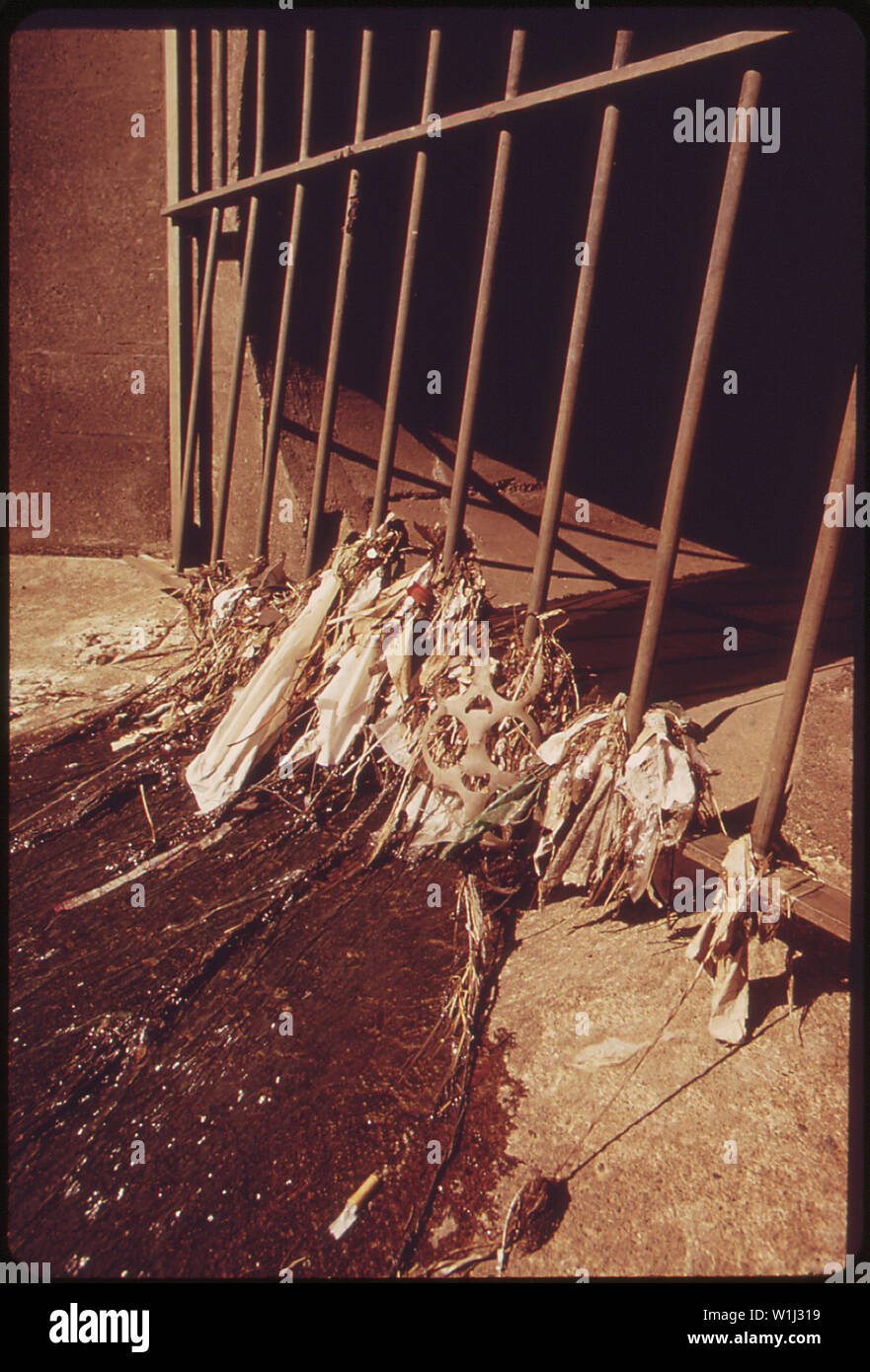 SOLID WASTE CLINGS TO BARS OF SEWAGE OUTLET NEAR VANCOUVER'S INTERSTATE ...