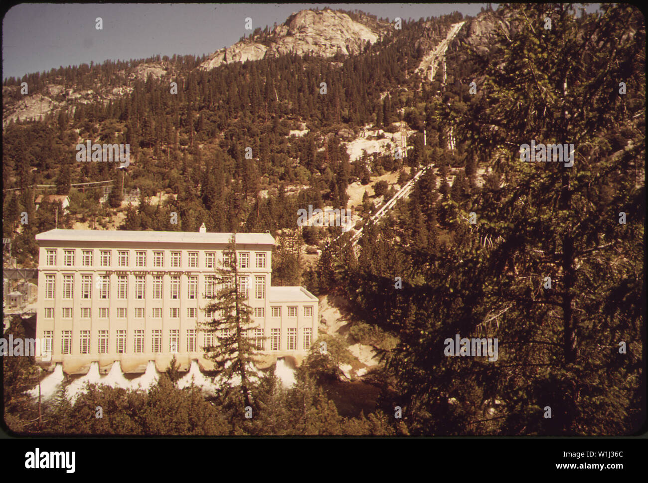 Edison Plant High Resolution Stock Photography and Images - Alamy