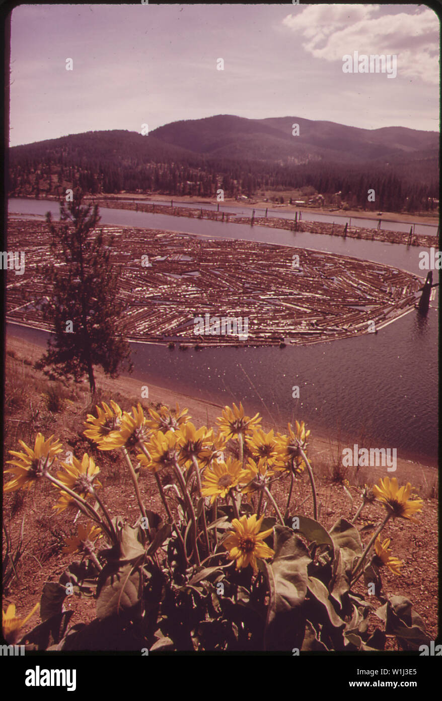 Spokane river at post falls hi-res stock photography and images - Alamy
