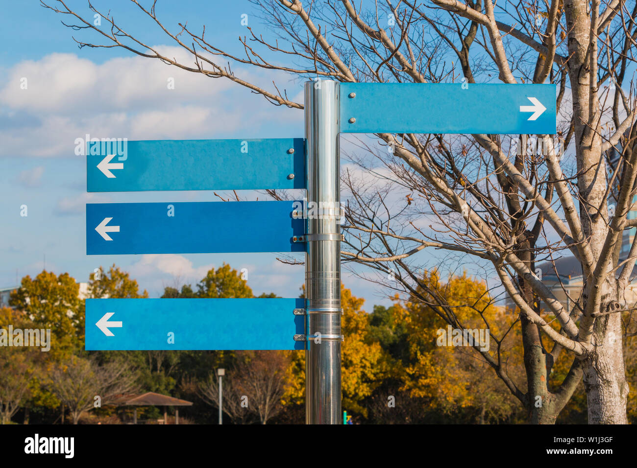Blank direction blue signpost in park Stock Photo - Alamy