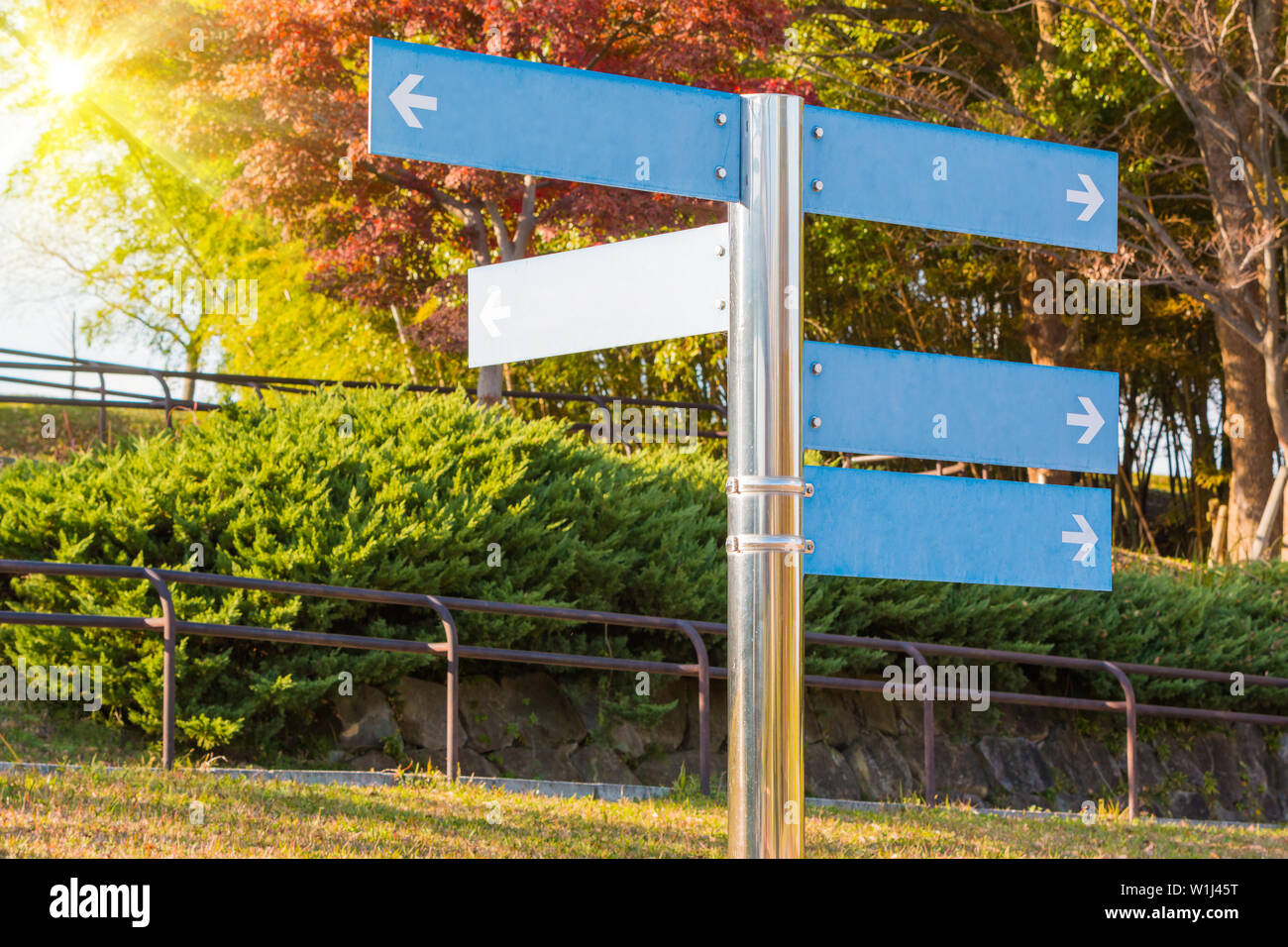 Blank direction blue signpost in park Stock Photo - Alamy