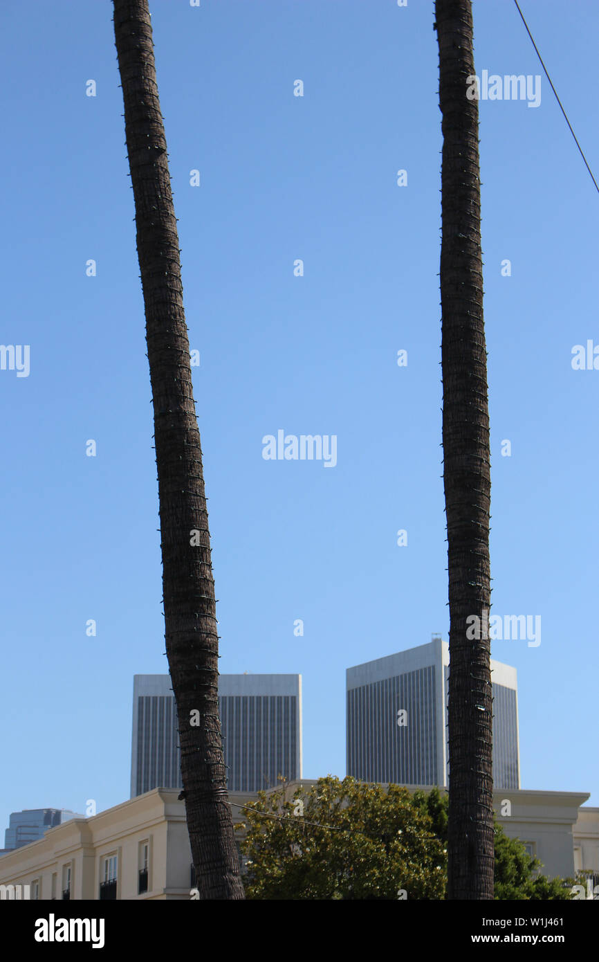 Sunny July in Beverly Hills and the surrounding communities in Los ...