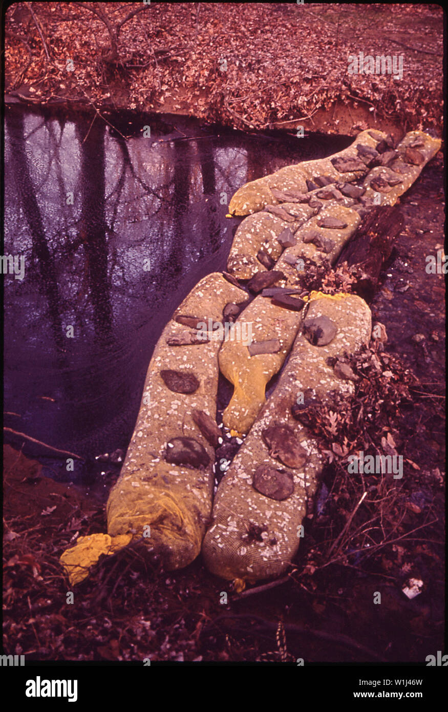 STONY RUN IS DAMMED, TEMPORARILY, TO CONTAIN OIL SPILLED BY BALTIMORE ...