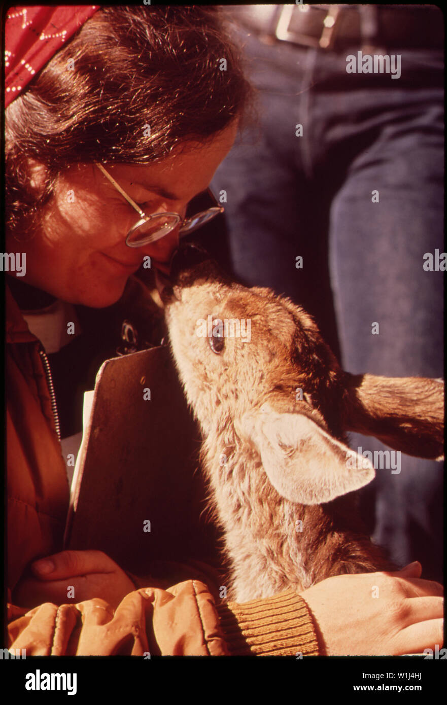 STUDENTS FROM DENVER PUBLIC SCHOOLS MAKE FRIENDS WITH TWO-WEEK-OLD FAWN ...