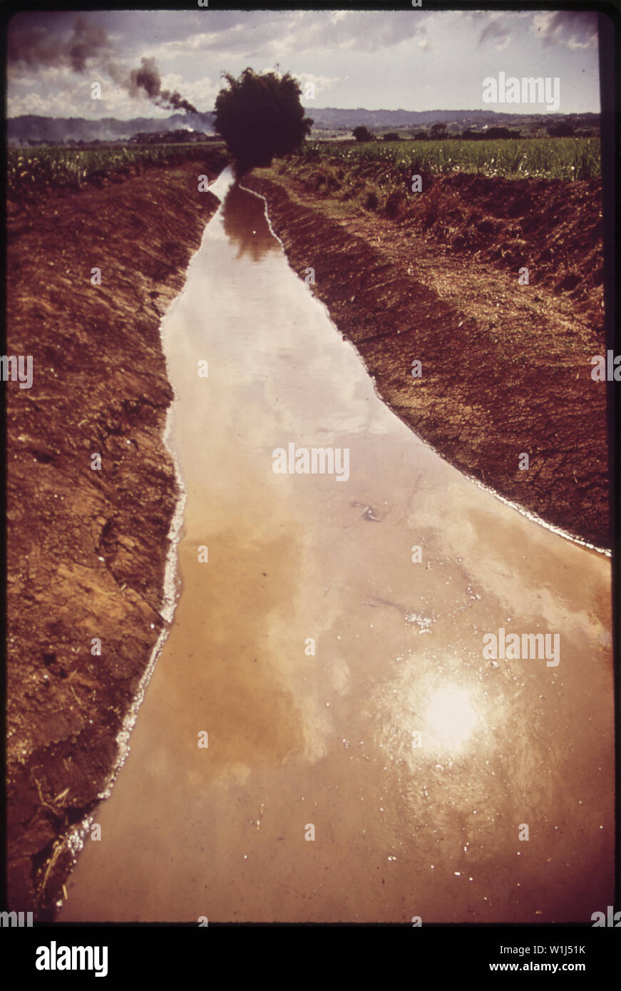 SUGAR REFINERY AND DRAINAGE DITCH Stock Photo - Alamy