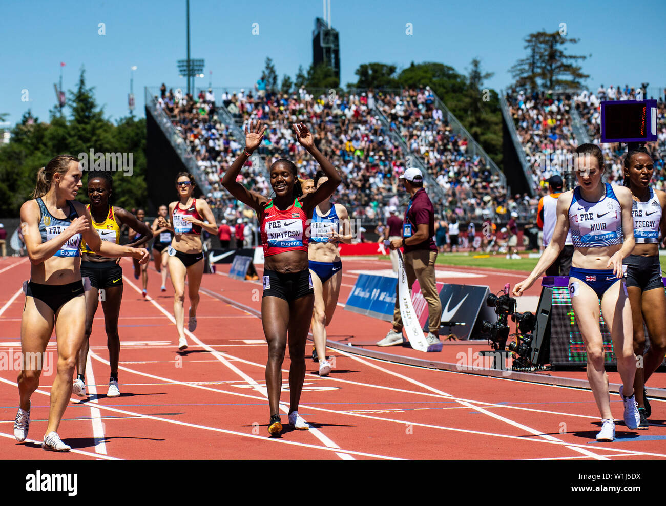 2019 197 jpg hi-res stock photography and images - Alamy