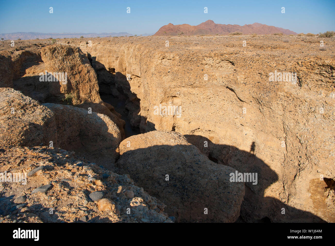 Desert landscape of a dry ravine, Namib-Naukluft National Park, Namibia ...