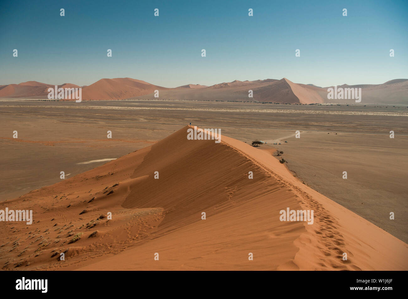 The red sand dunes at Namib-Naukluft National Park, Namibia.. The red ...