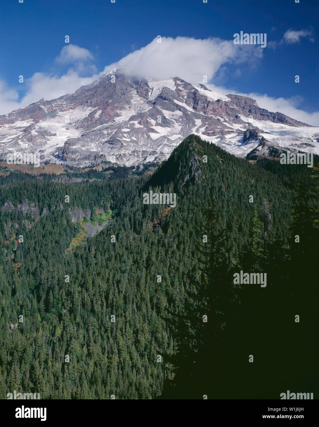 USA, Washington, Mt. Rainier National Park, Summit of Mt. Rainier ...