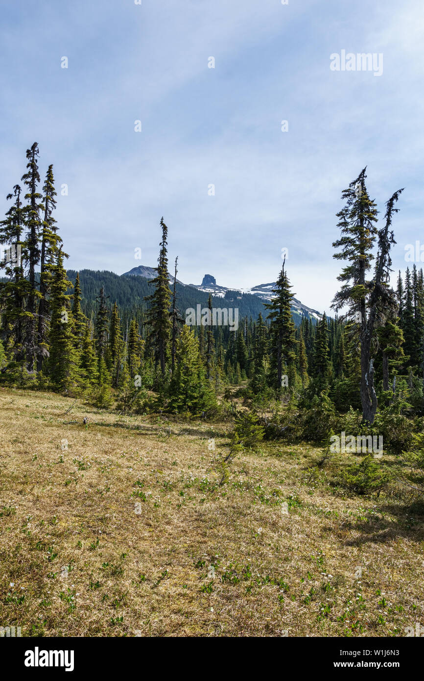 Summer medow in canada hi-res stock photography and images - Alamy