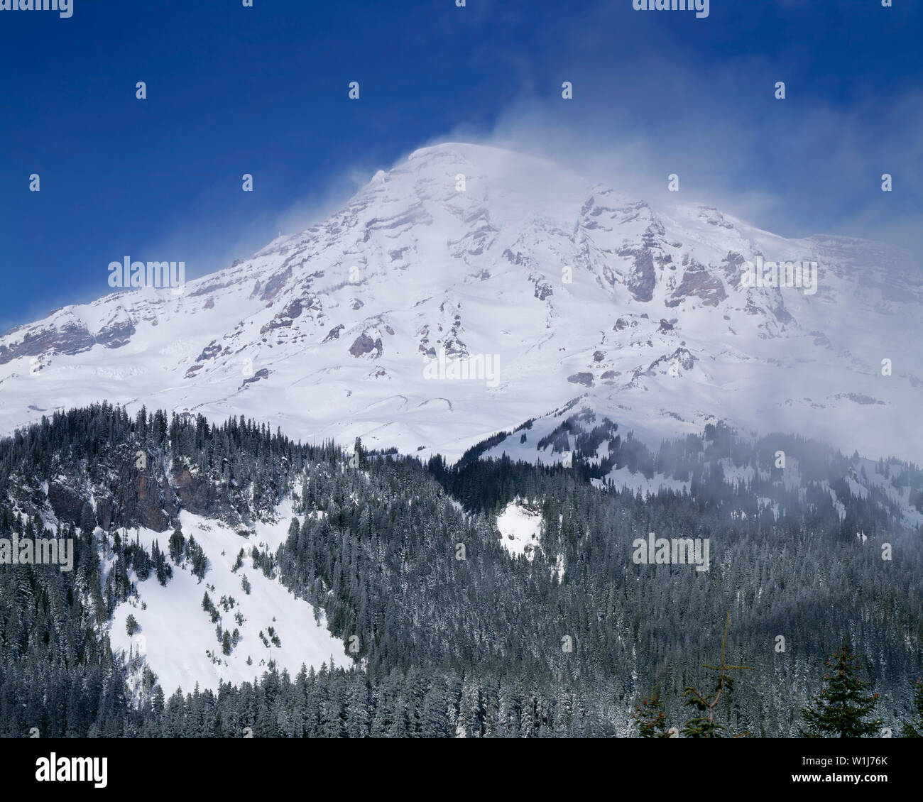 USA, Washington, Mt. Rainier National Park, Wind blown snow and fog ...