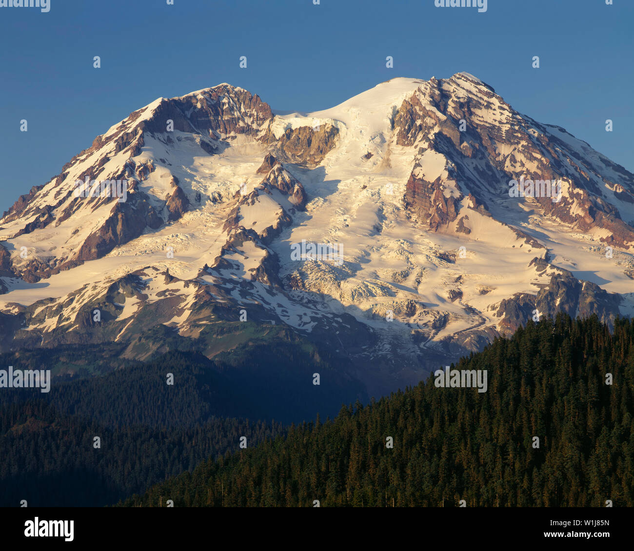 USA, Washington, Mt. Rainier National Park, Evening light on west side ...