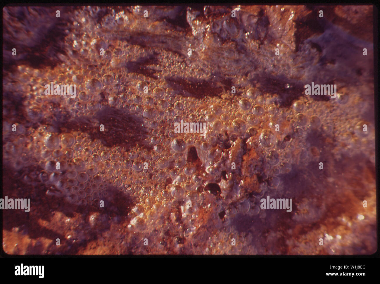 Scum Forms In Water Stock Photo - Alamy