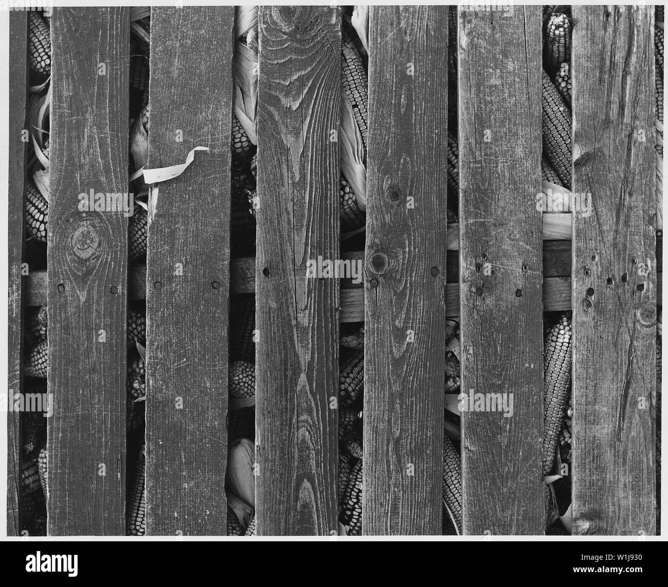 Ever normal granary hi-res stock photography and images - Alamy