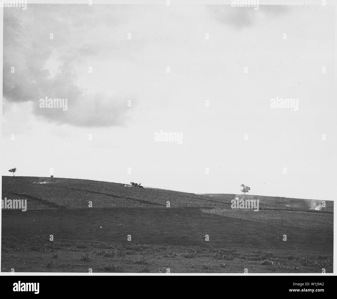 Shelby County, Iowa. Last year's corn stalks are sometimes piled in ...