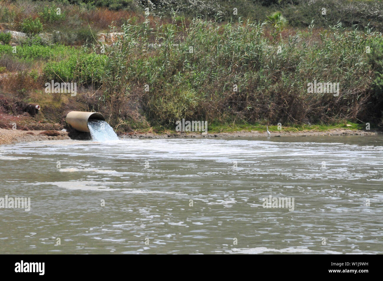 Surface Runoff Definition surface-runoff-definition