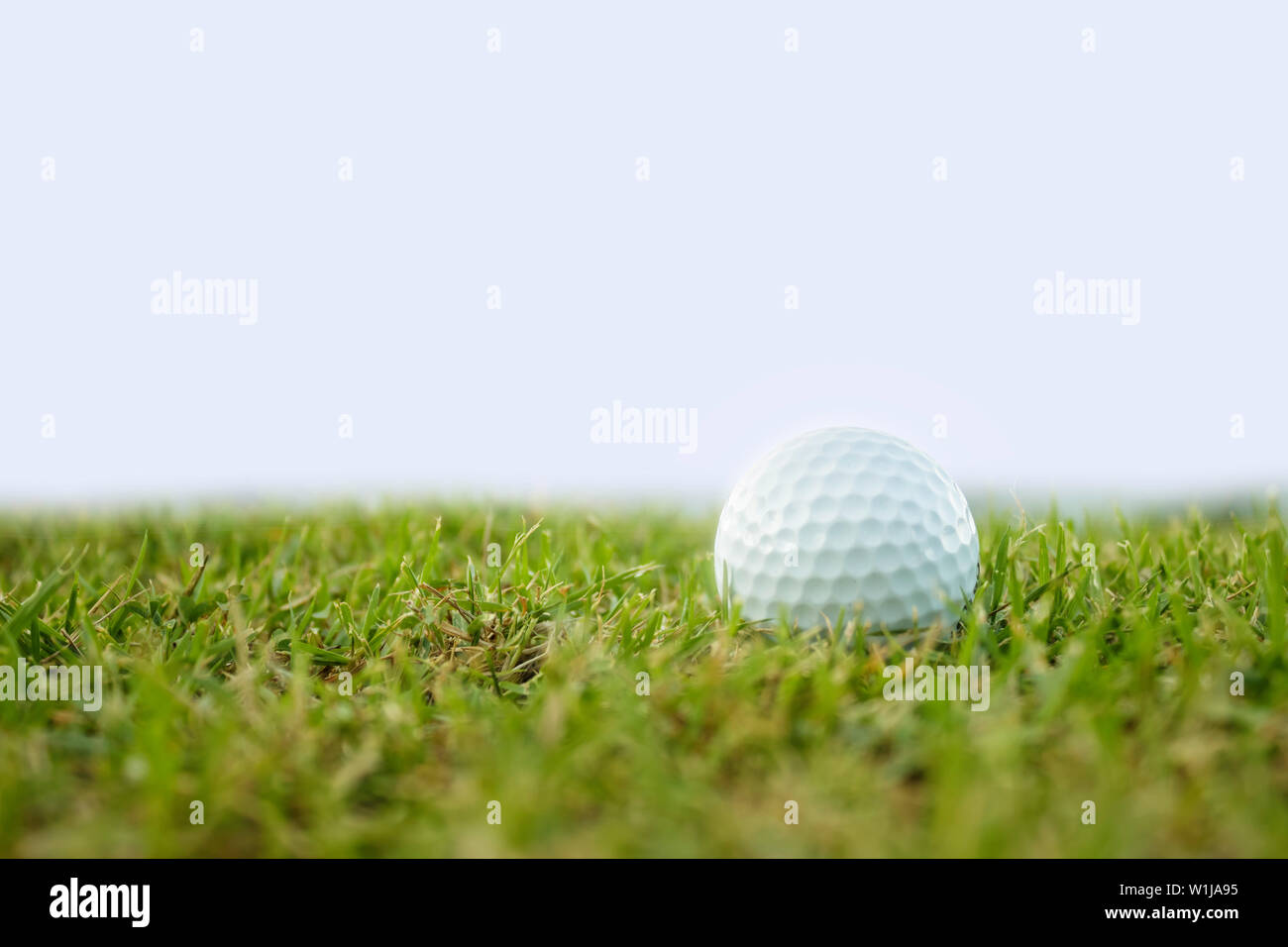 golf-ball on course isolate Stock Photo - Alamy