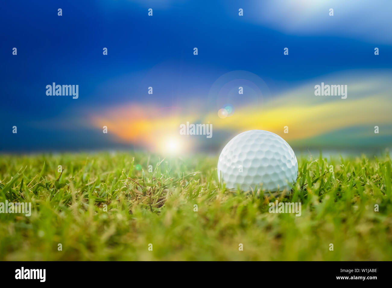 golf-ball on course Stock Photo - Alamy