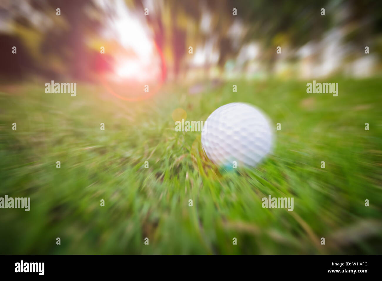Zoom golf-ball on course Stock Photo - Alamy