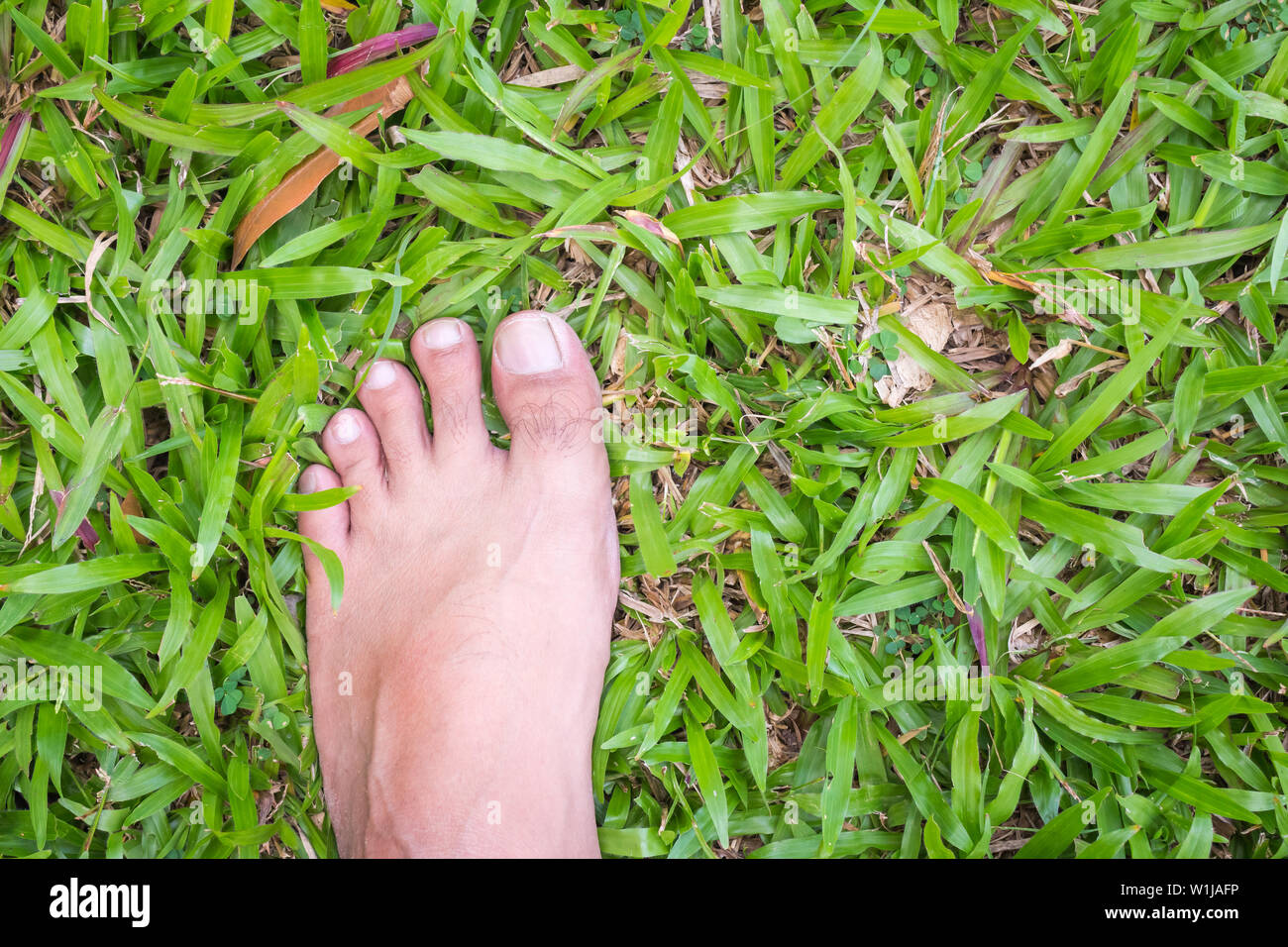 Feet on grass Stock Photo - Alamy
