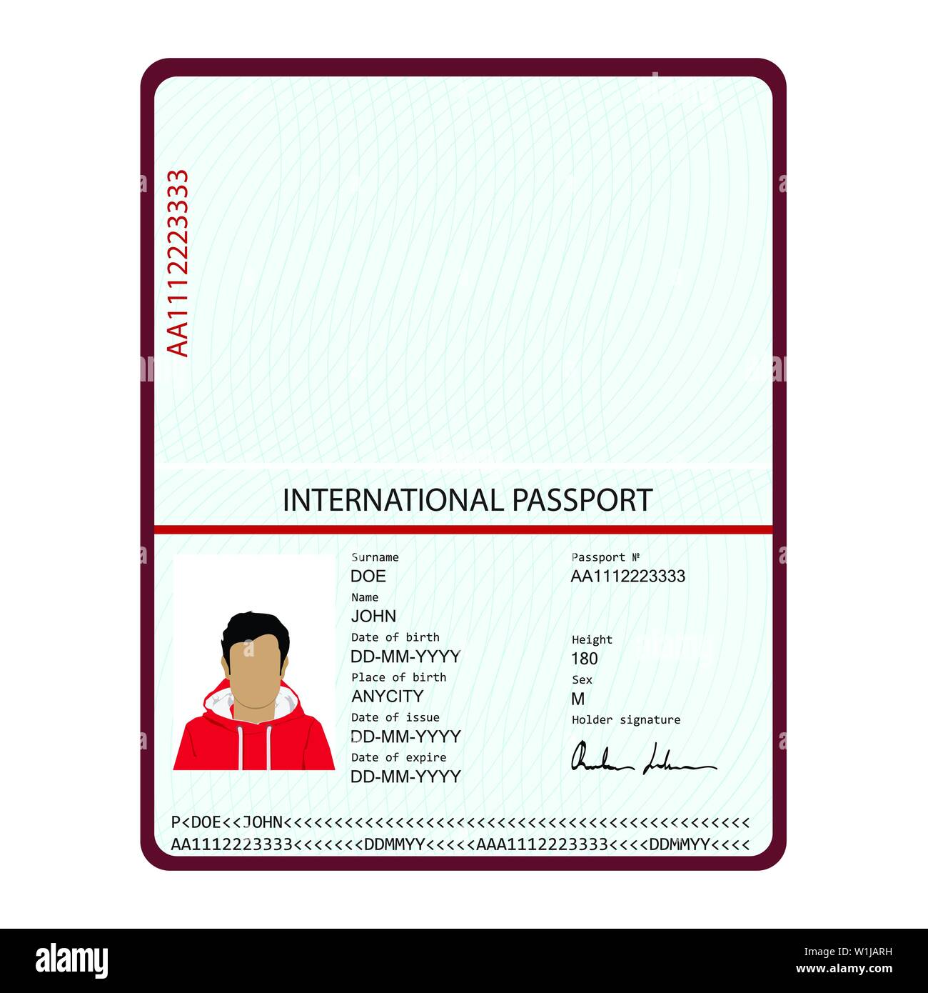 Passport with biometric data. Identification Document. international ...