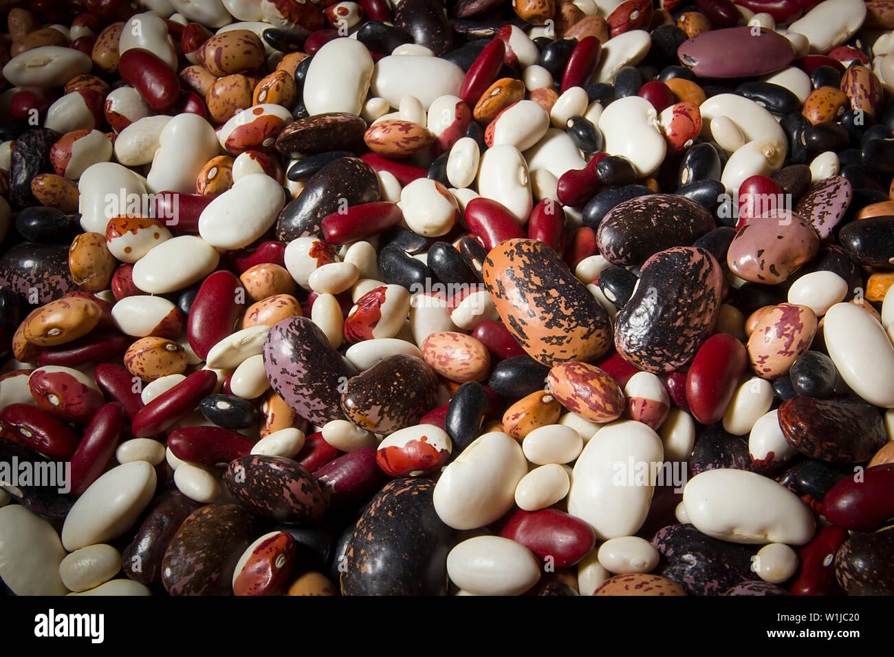 Mix of different in size and color of beans Stock Photo - Alamy