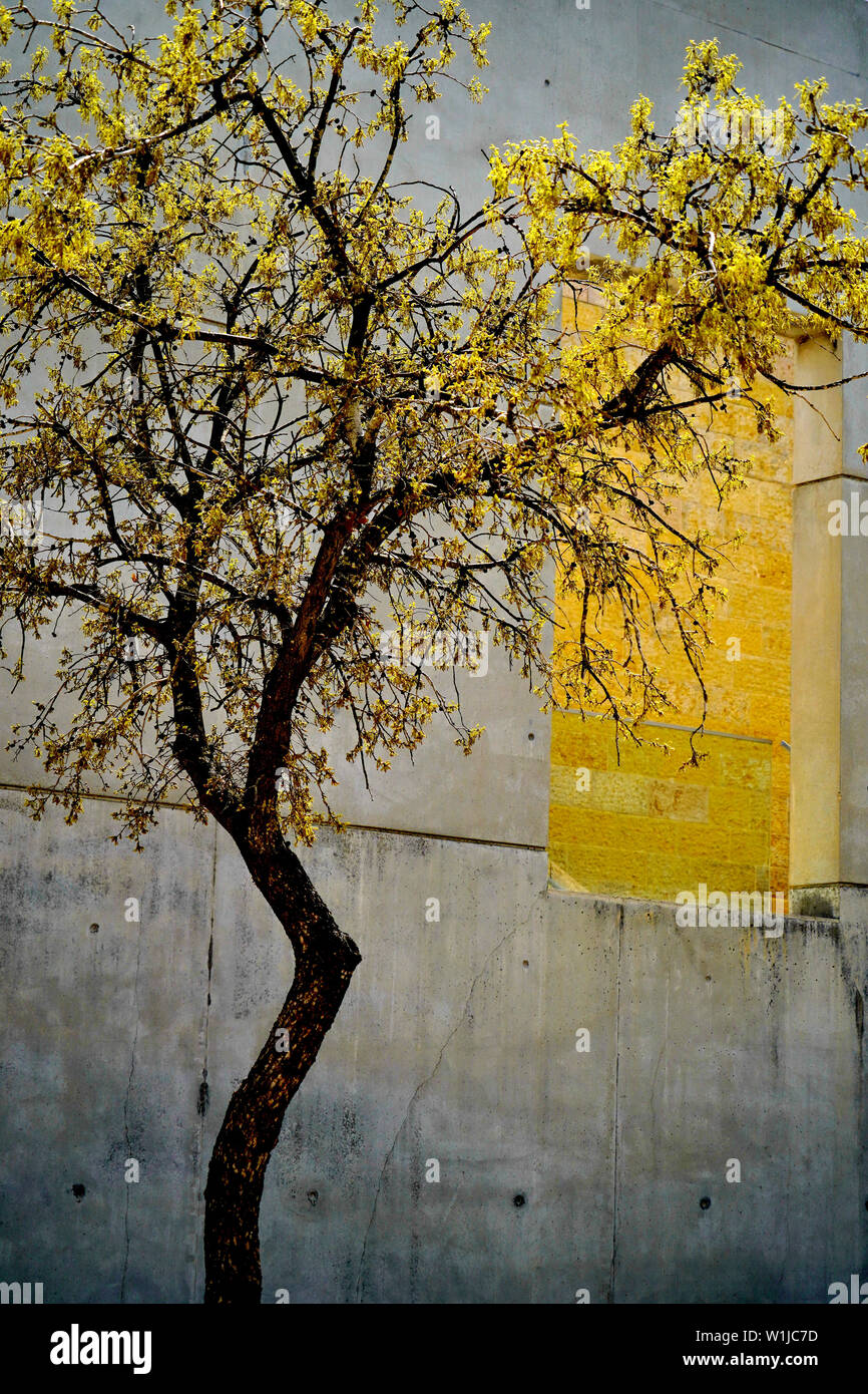 Yad Vashem, Jerusalem, literally, memorial and name, is the memorial to ...