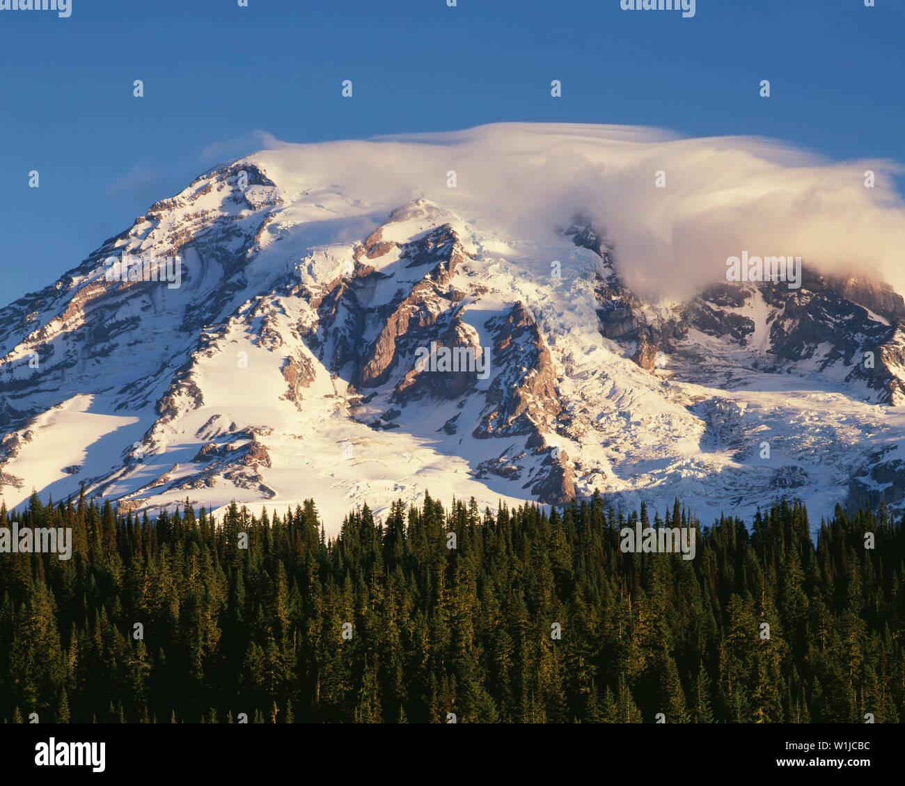 USA, Washington, Mt. Rainier National Park, Morning clouds shroud ...