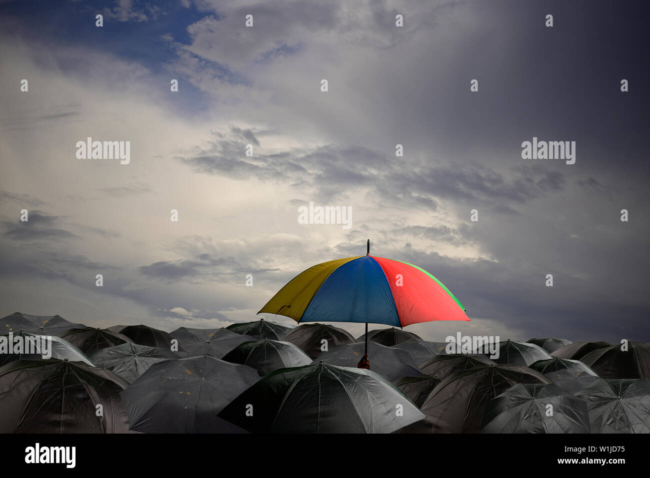 Colorful umbrella over many black umbrella in rainy day Stock Photo - Alamy