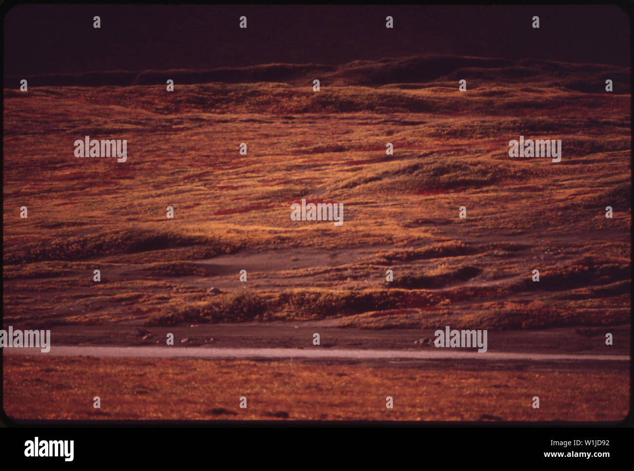 THE ATIGUN RIVER NEAR THE PIPELINE CROSSING POINT IN THE ATIGUN VALLEY ...