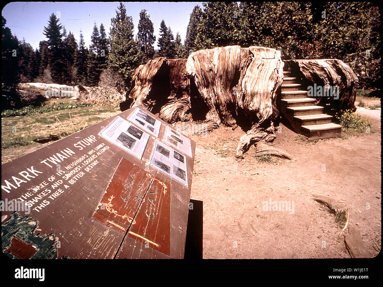 Mark twain stump hi-res stock photography and images - Alamy