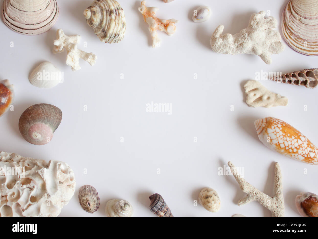 Sea shells, stones, mussels and corals frame on white background Stock ...