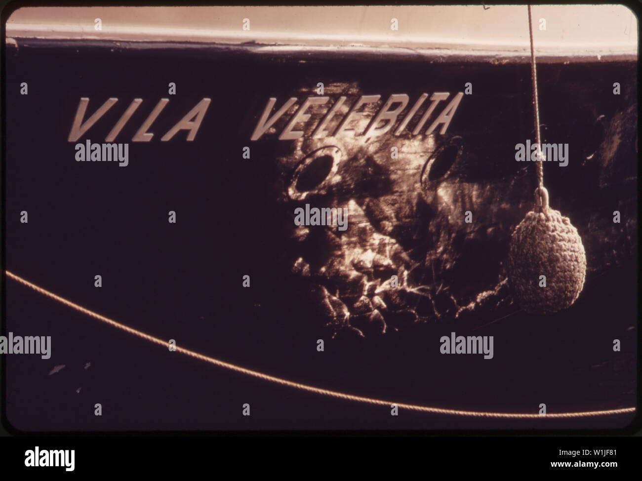 THE VILA VELEBITA II, RESEARCH SHIP FOR THE RUDER BOSKOVIC INSTITUTE ...