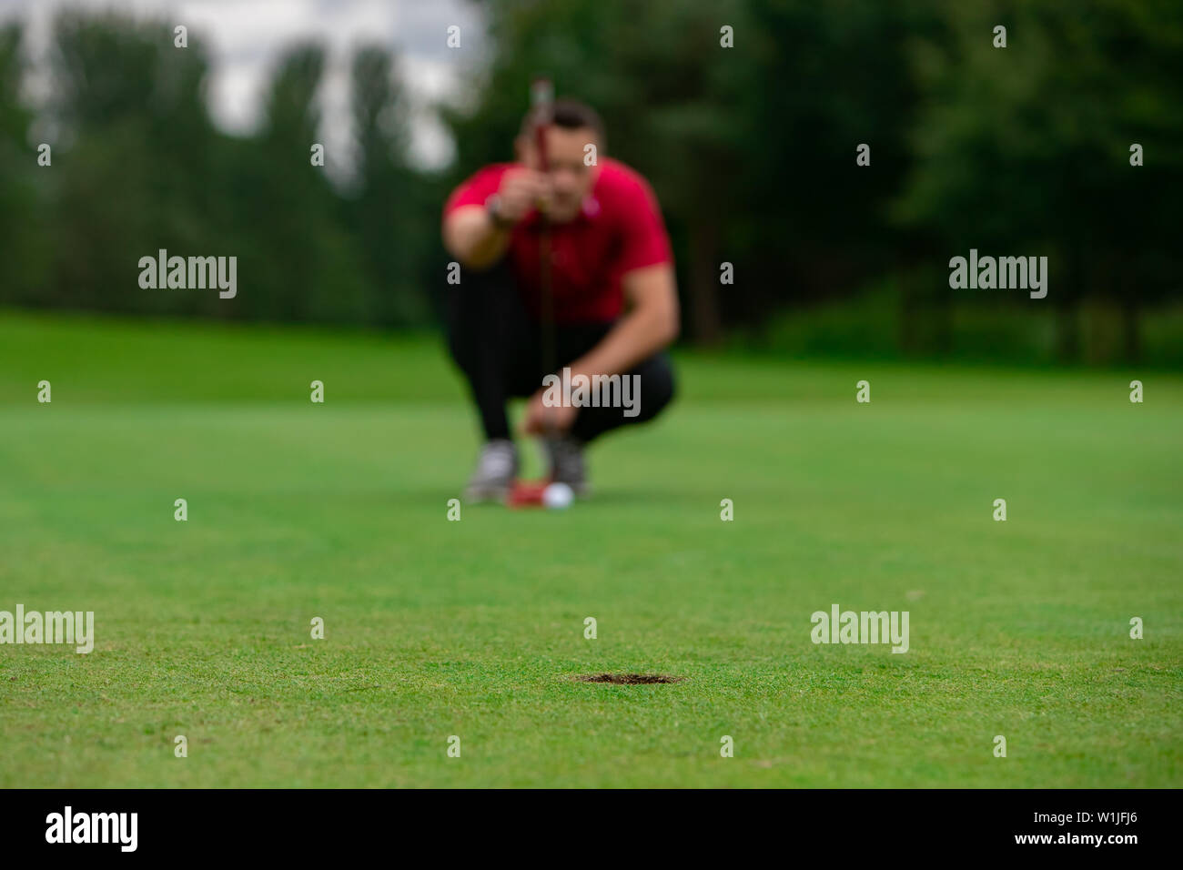 A professional golfer putting on the green Stock Photo - Alamy