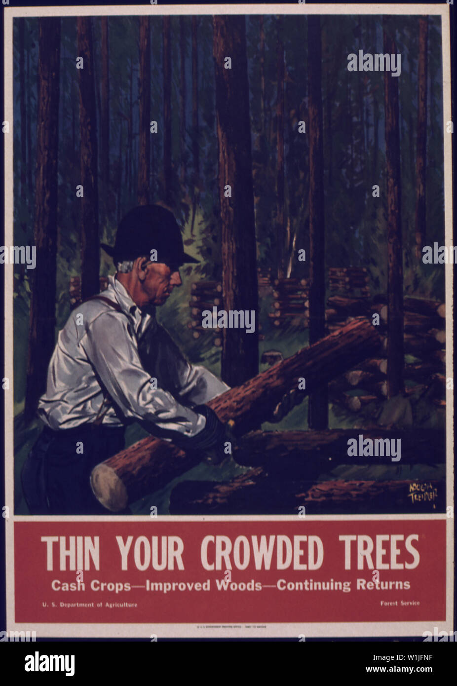 THIN YOUR CROWDED TREES Stock Photo - Alamy