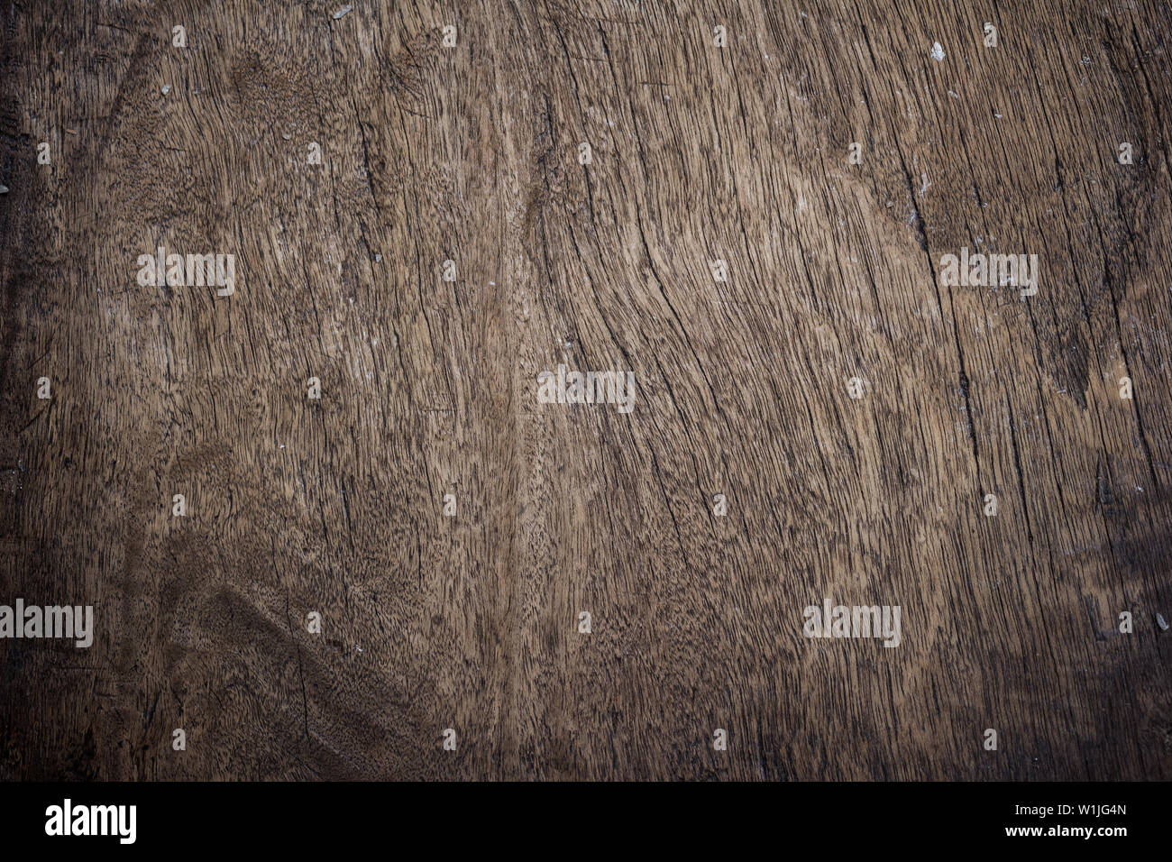 Texture of bark wood use as natural background Stock Photo - Alamy
