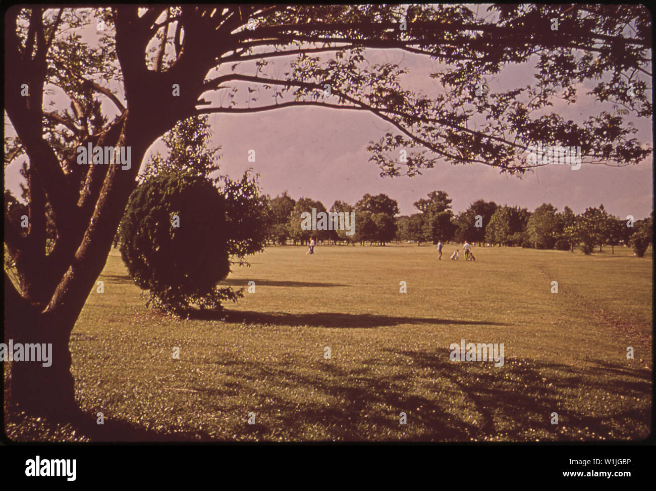 THIS MUNICIPAL GOLF COURSE WAS BUILT ON SANITARY LANDFILL Stock Photo ...