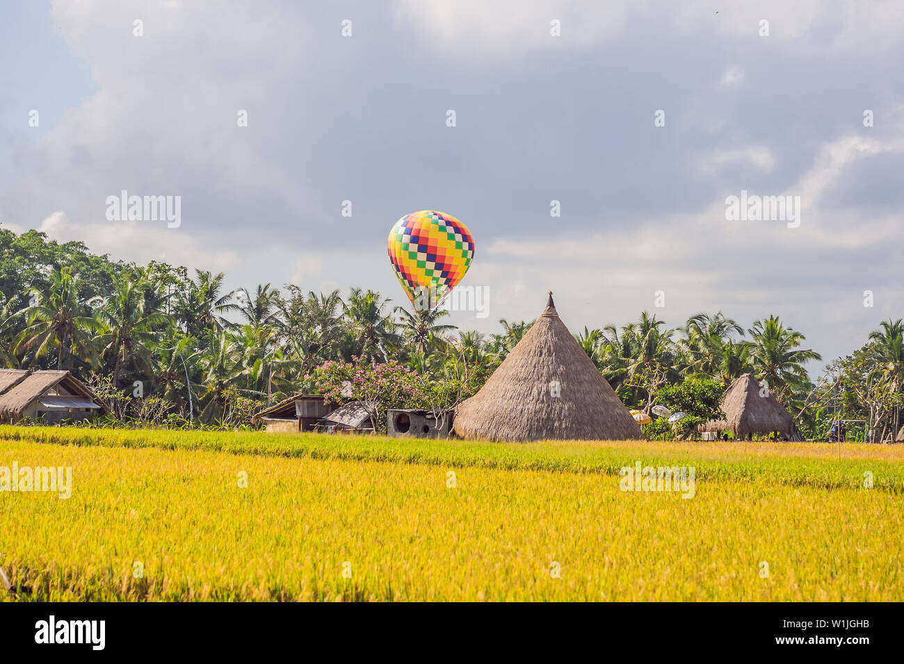 hot air balloon over the green paddy field. Composition of nature and ...