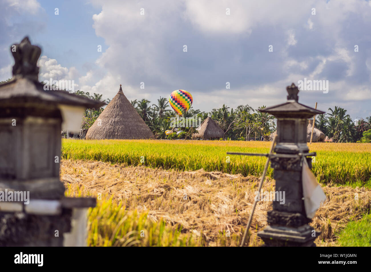 hot air balloon over the green paddy field. Composition of nature and ...
