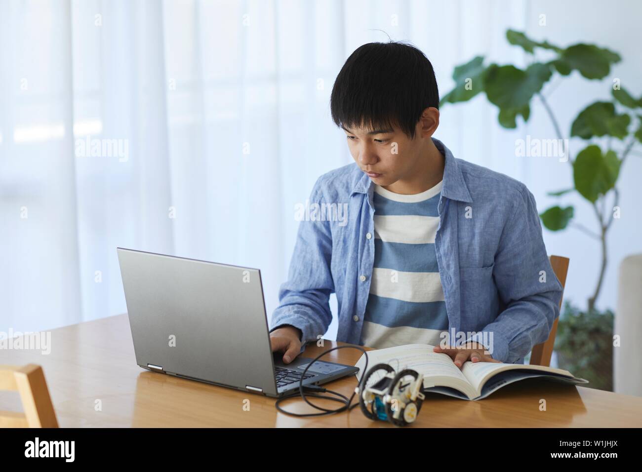 Japanese teenager studying programming Stock Photo - Alamy