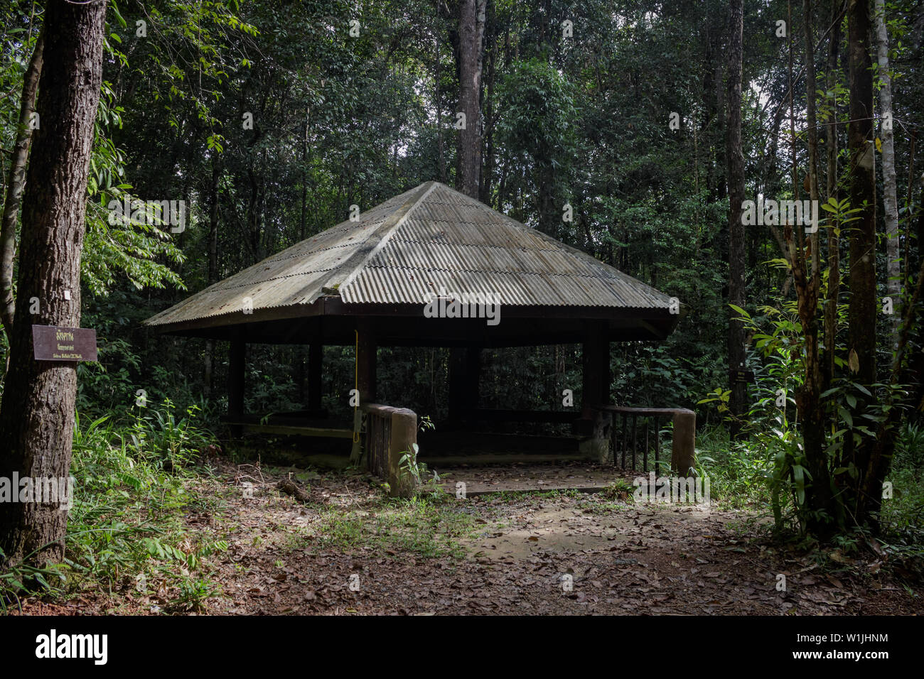 Jungle paths hi-res stock photography and images - Alamy