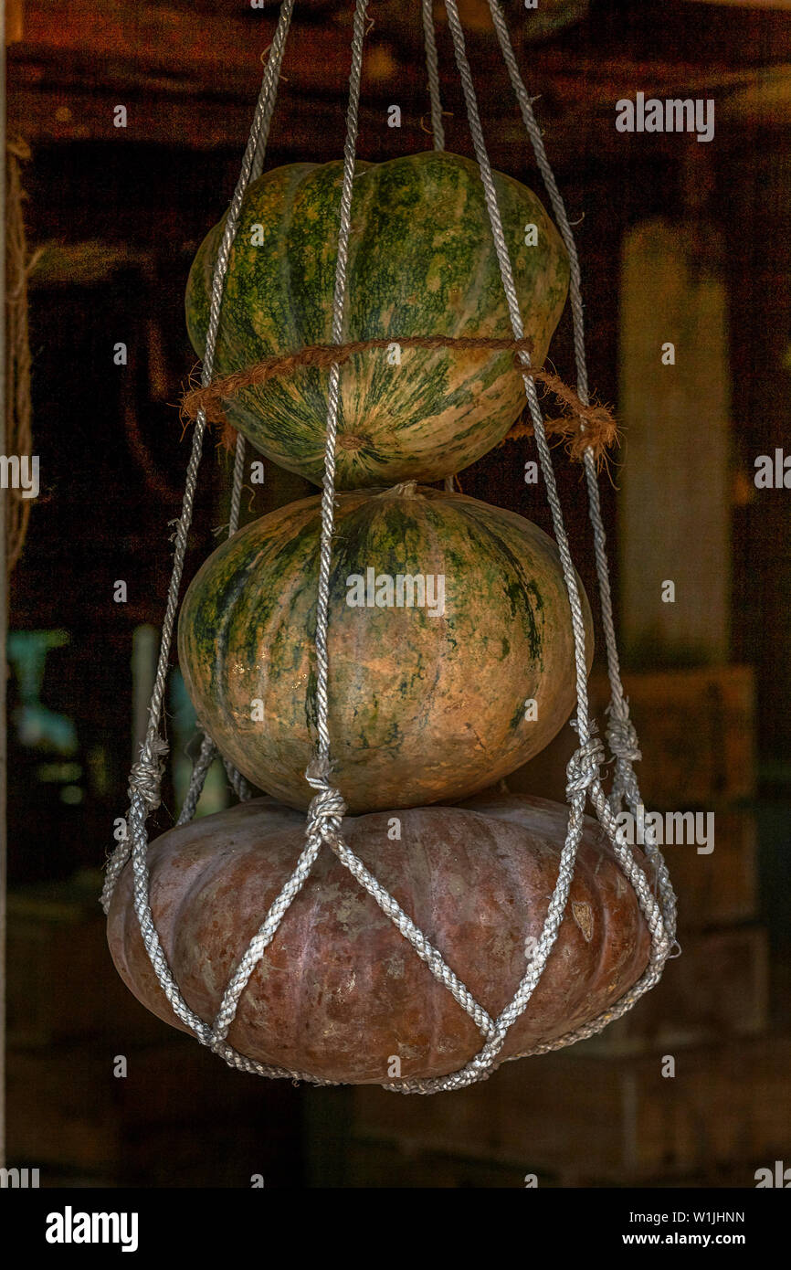 Indian pumpkin hi-res stock photography and images - Alamy