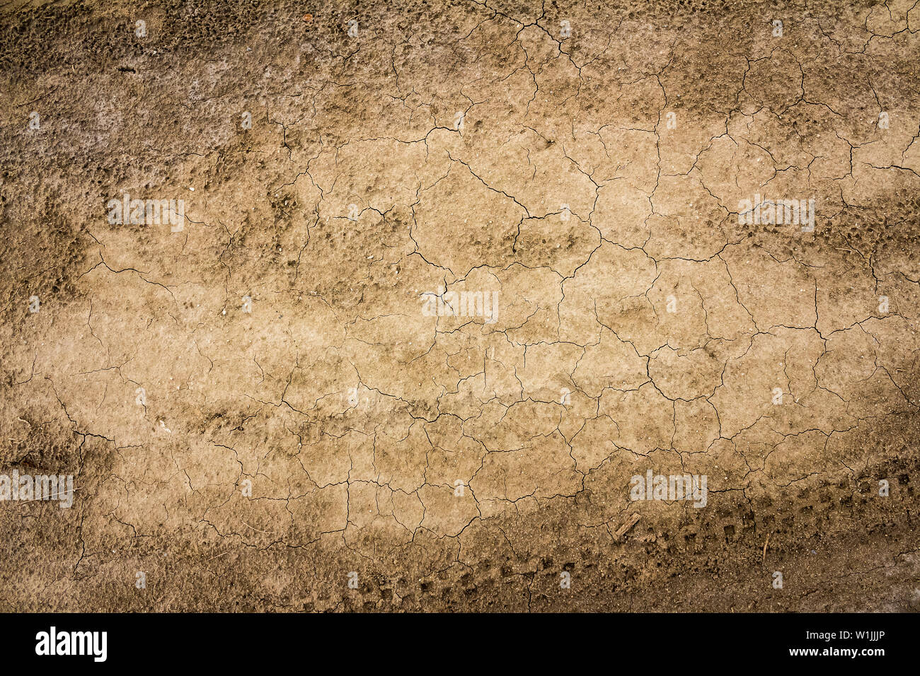 Dry earth surface cracks Stock Photo - Alamy