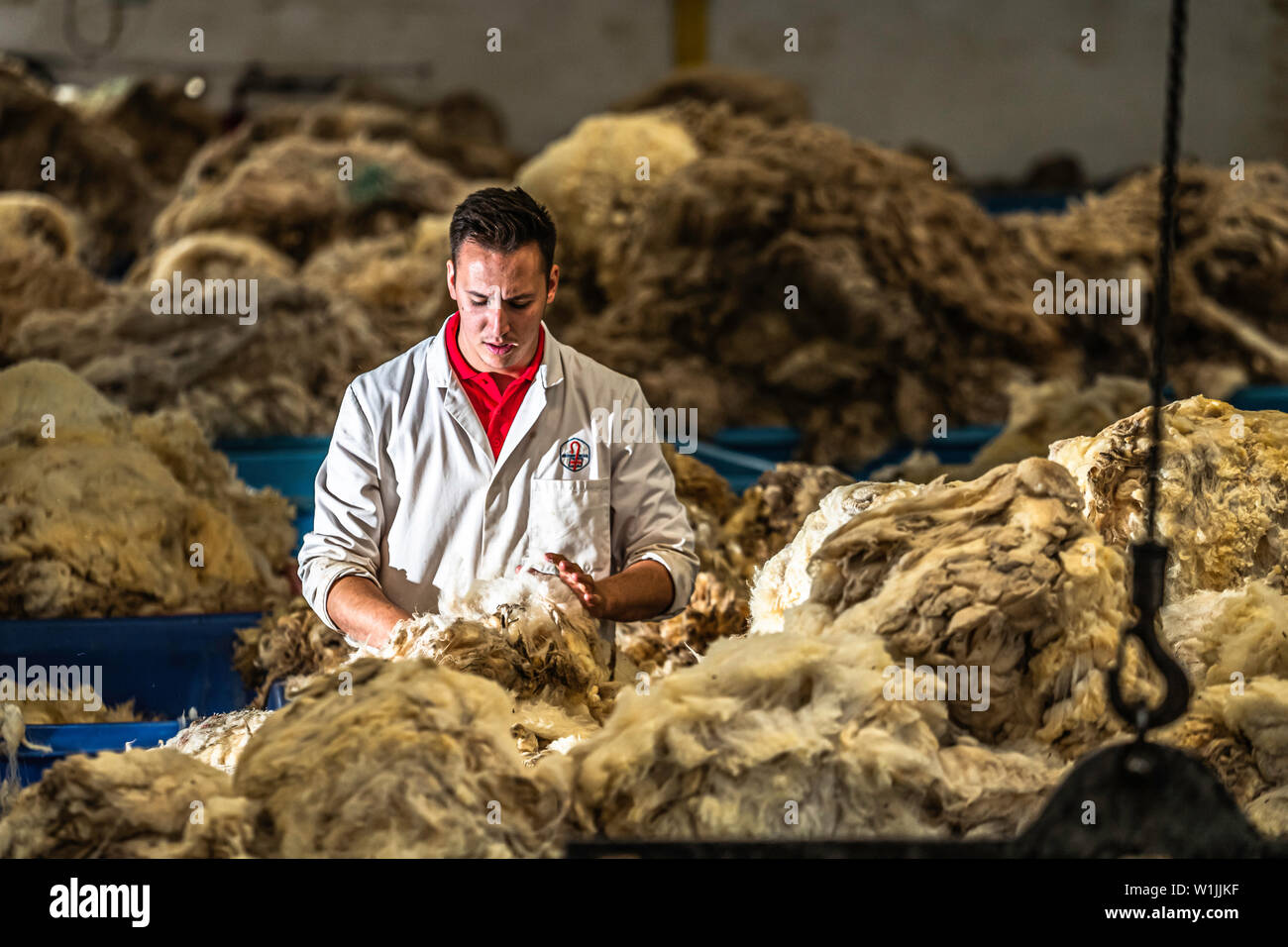 Sustainable British Agriculture High Resolution Stock Photography and ...
