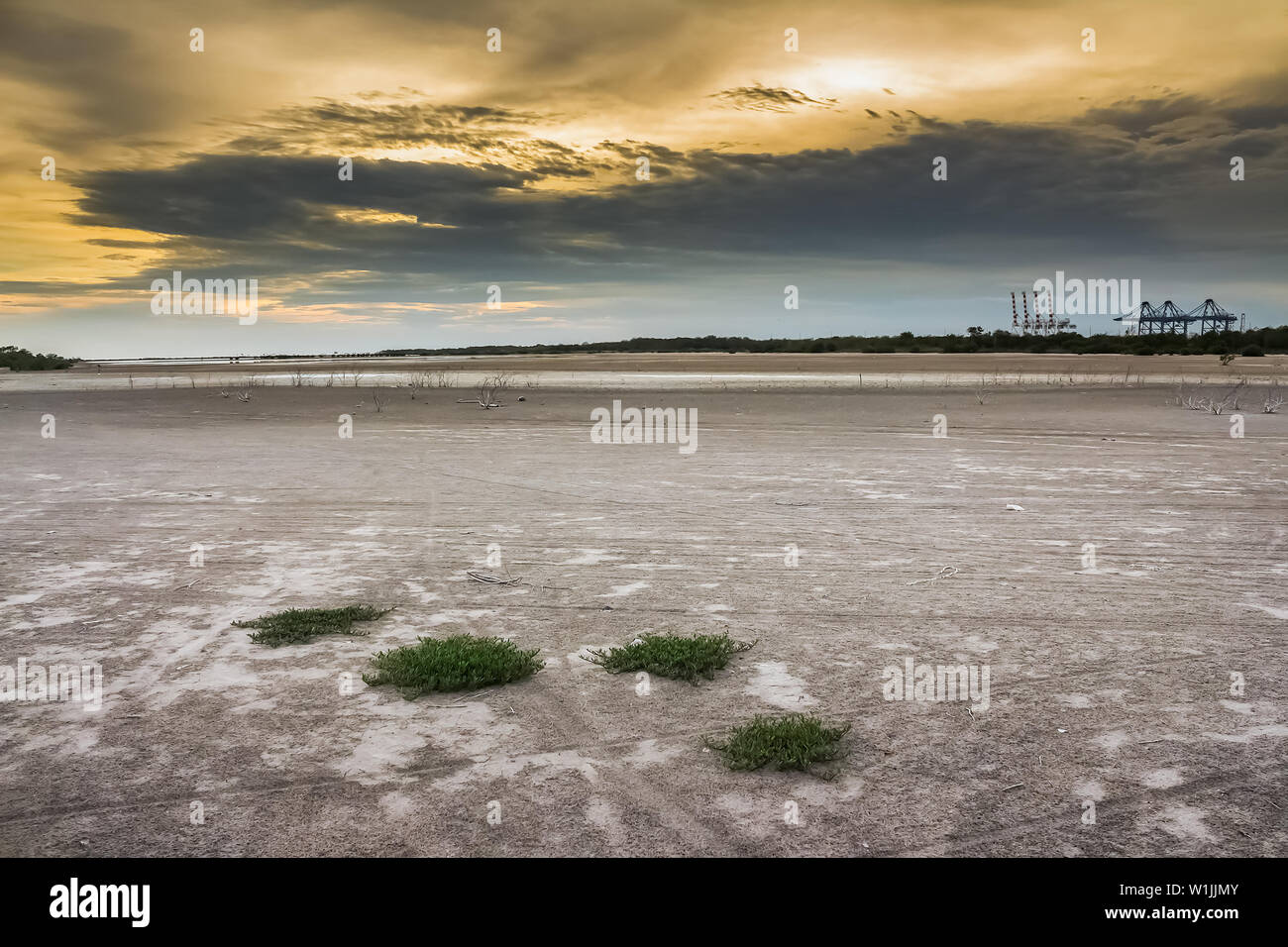 Barren ground sunset Stock Photo - Alamy