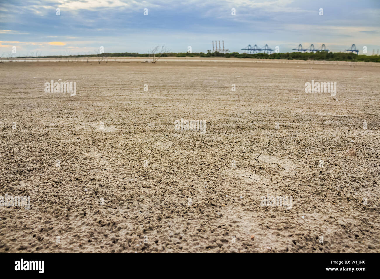 Land with dry and cracked ground. Desert Stock Photo - Alamy